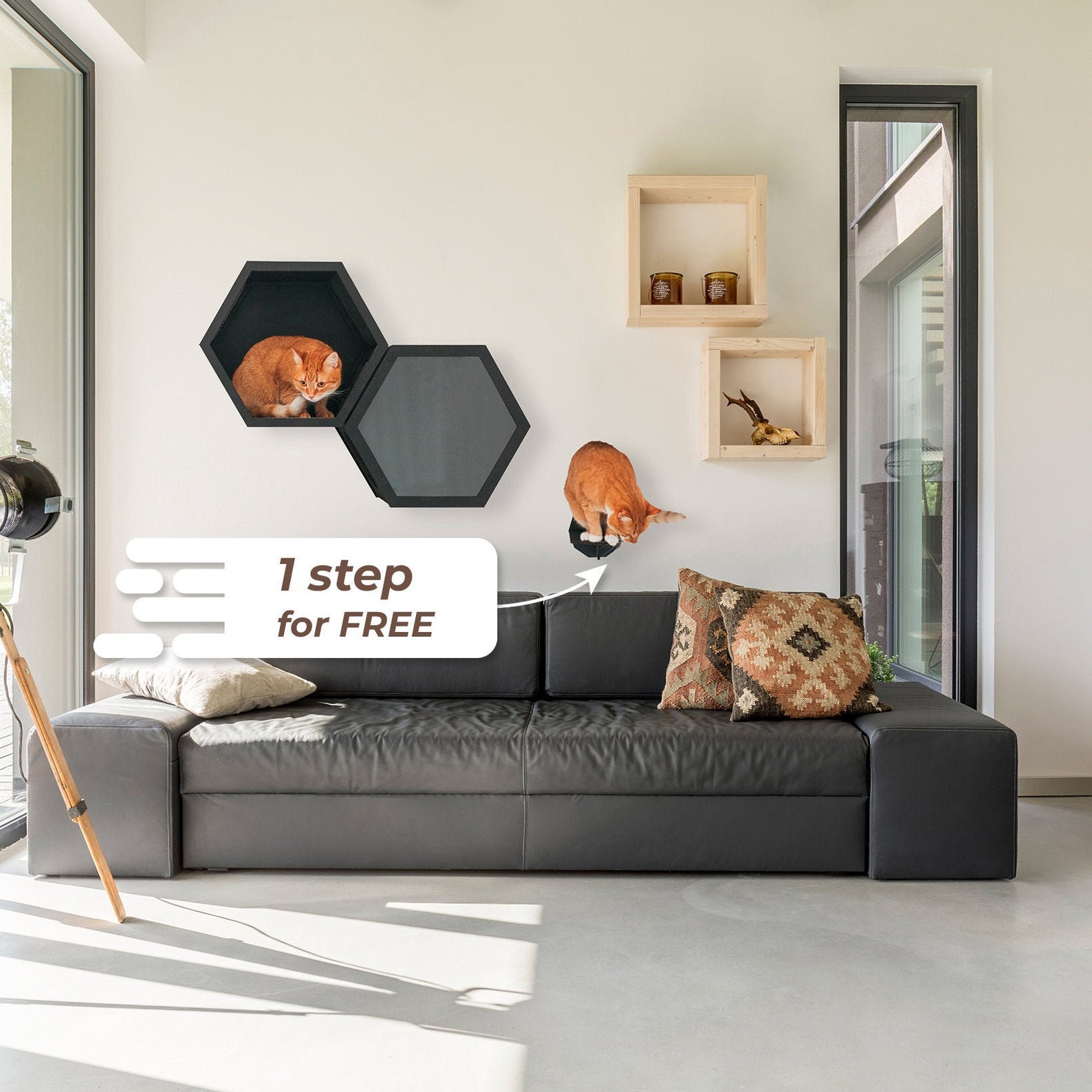 20 Unique Gifts for Pets: Pamper Your Pet! - Gifter World