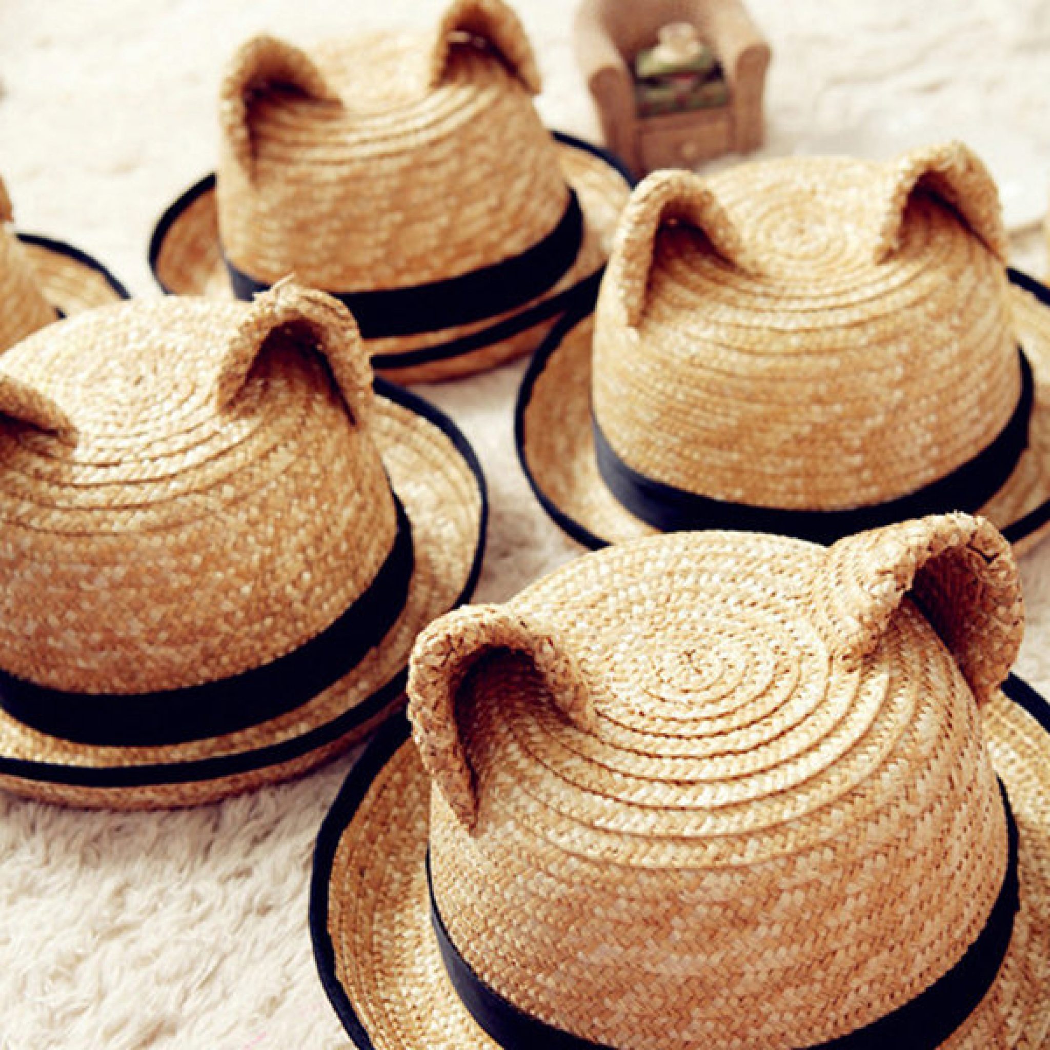 Cat Ear Straw Hat - Gifter World