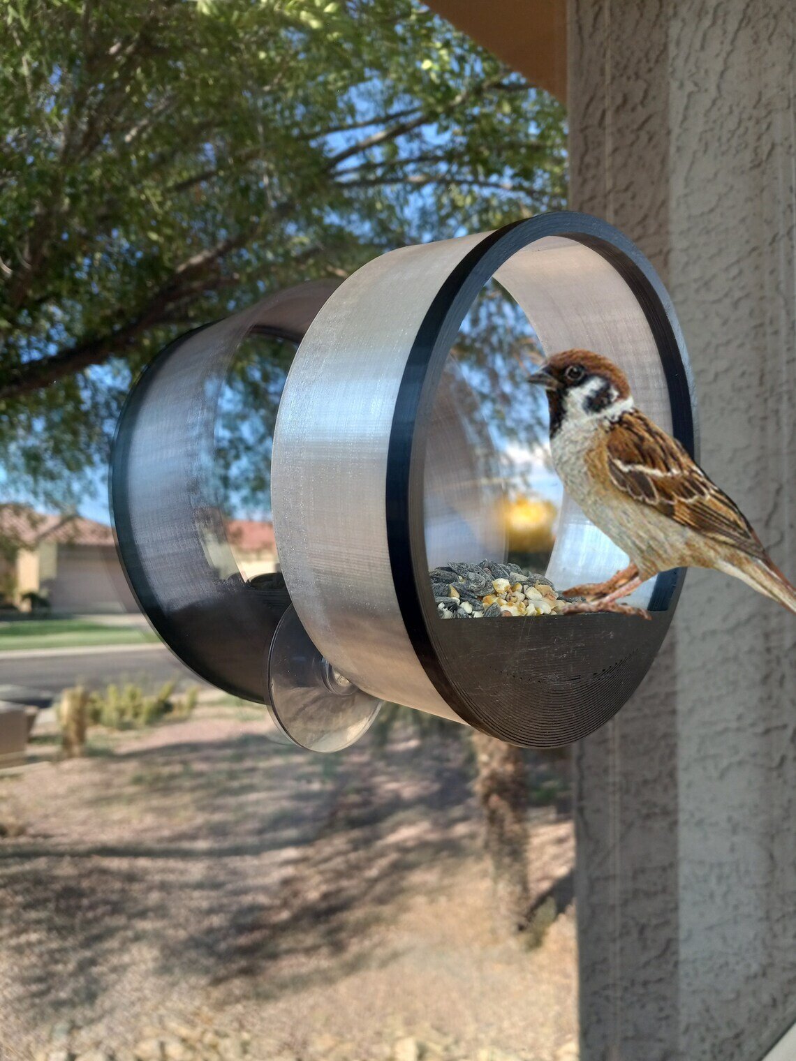 Unique Gifts for Bird Watchers - Gifter World